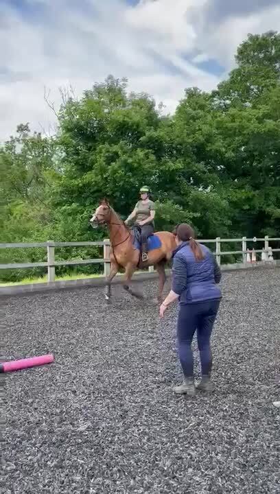 Horse Refuses Jump and Rider Takes a Tumble | Jukin Licensing