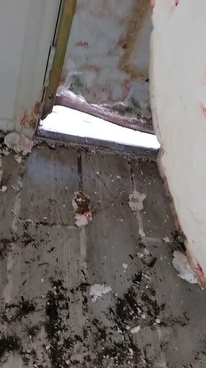 Dogs Destroy Door in Home | Jukin Licensing