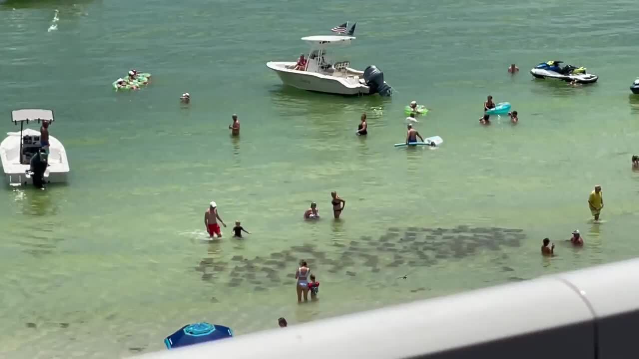 Incredible Stingray Migration at Beach! | Jukin Licensing