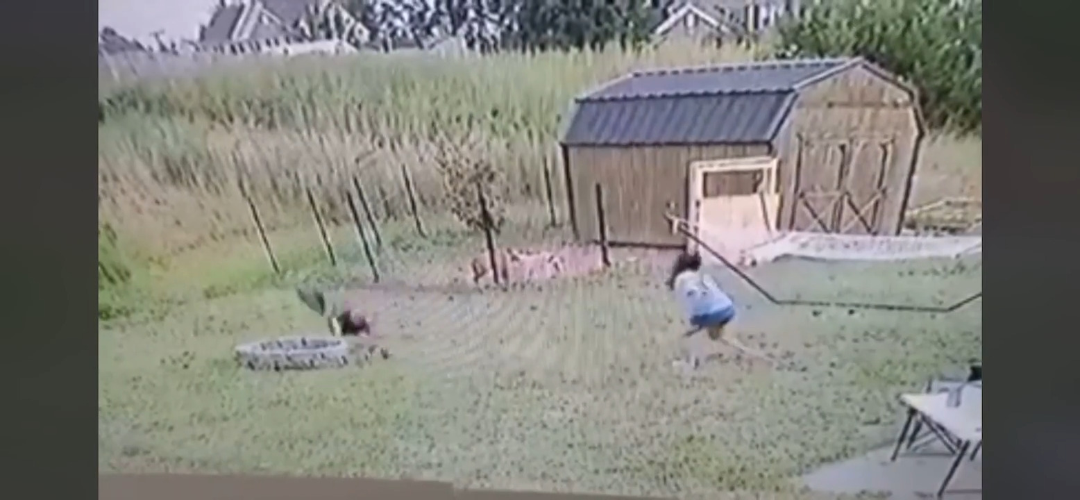 Child Gets Hit in Face with Dodgeball and Falls in Firepit | Jukin ...