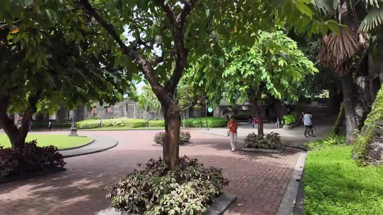 Woman Crashes Into Bushes While Riding Bicycle and Falls Hard to Ground ...