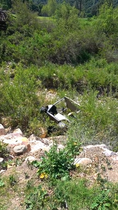 Man Crashes Golf Cart Into Bush | Jukin Licensing