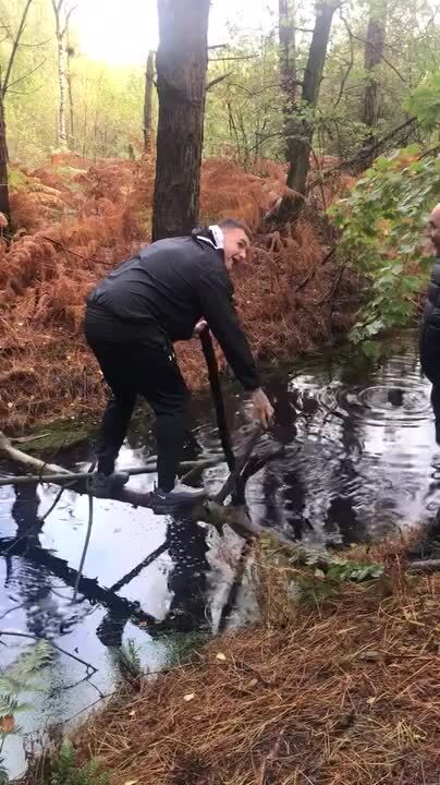 Man Plunges Into Lake After Unexpected Tree Limb Break | Jukin Licensing