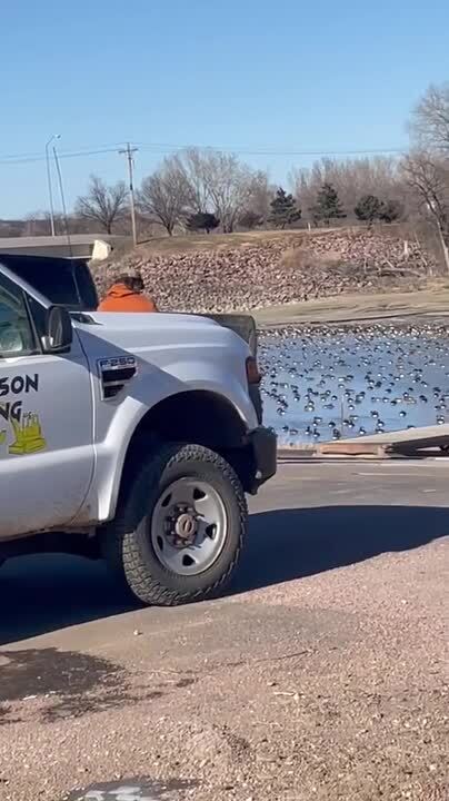 Truck Driver Attempts to Move Geese with Train Horn | Jukin Licensing