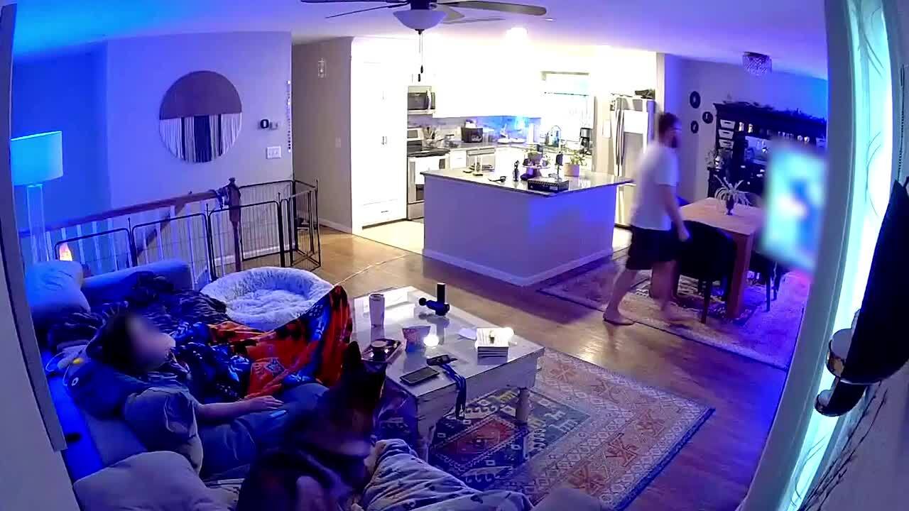 Man Runs Into His German Shepherd and Trips While Chasing His Husky ...