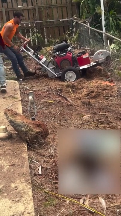 Man Gets Pulled Forward by Heavy Stump Grinder | Jukin Licensing