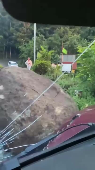 Hiker Takes an Unexpected Tumble Off Log into Bushes! | Jukin Licensing