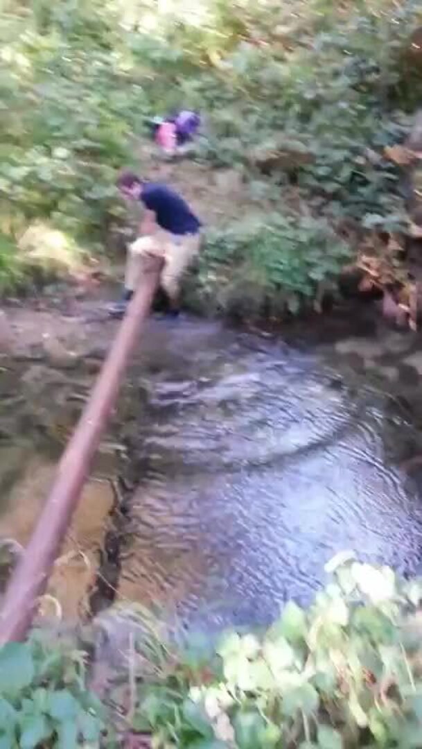 Epic Fail: Person Tumbles into Creek While Trying to Cross on Pipe ...