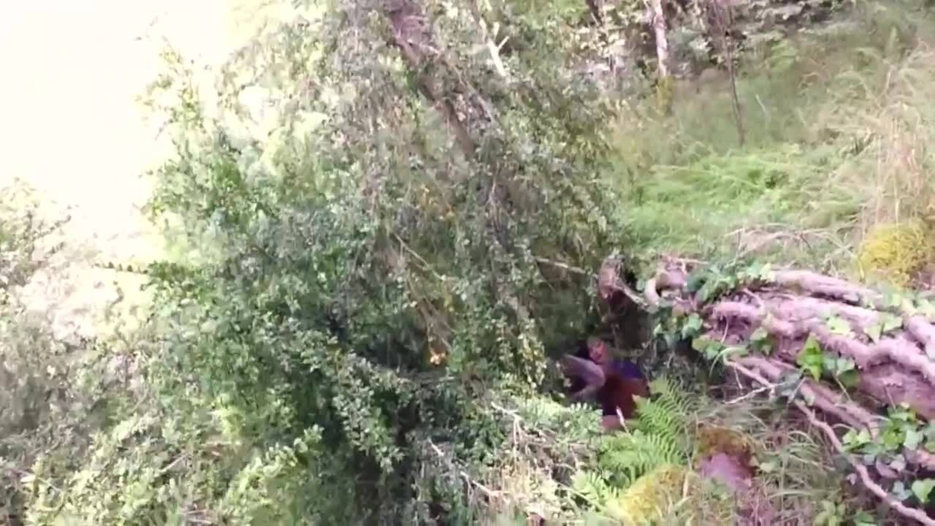 Hiker Takes an Unexpected Tumble Off Log into Bushes! | Jukin Licensing