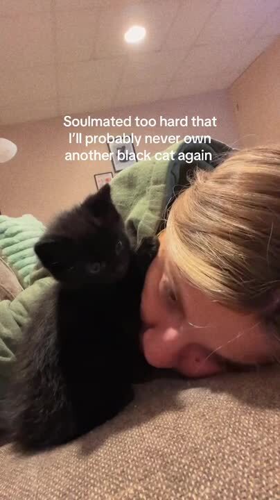 Kitten Rests Comfortably On Woman's Face | Jukin Licensing