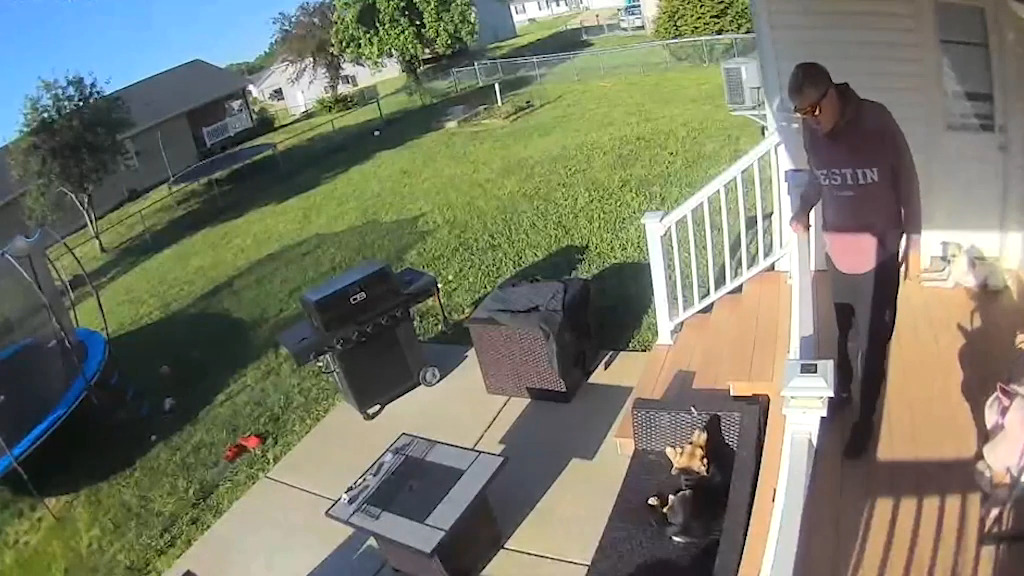 Man Falls off Porch While Stopping His Dog From Chewing on Furniture ...