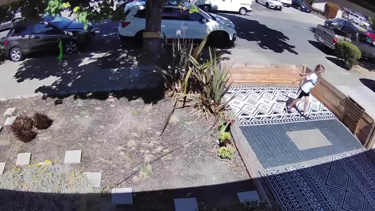 Woman Loses Balance While Taking Photo of Robot and Falls Hard | Jukin ...