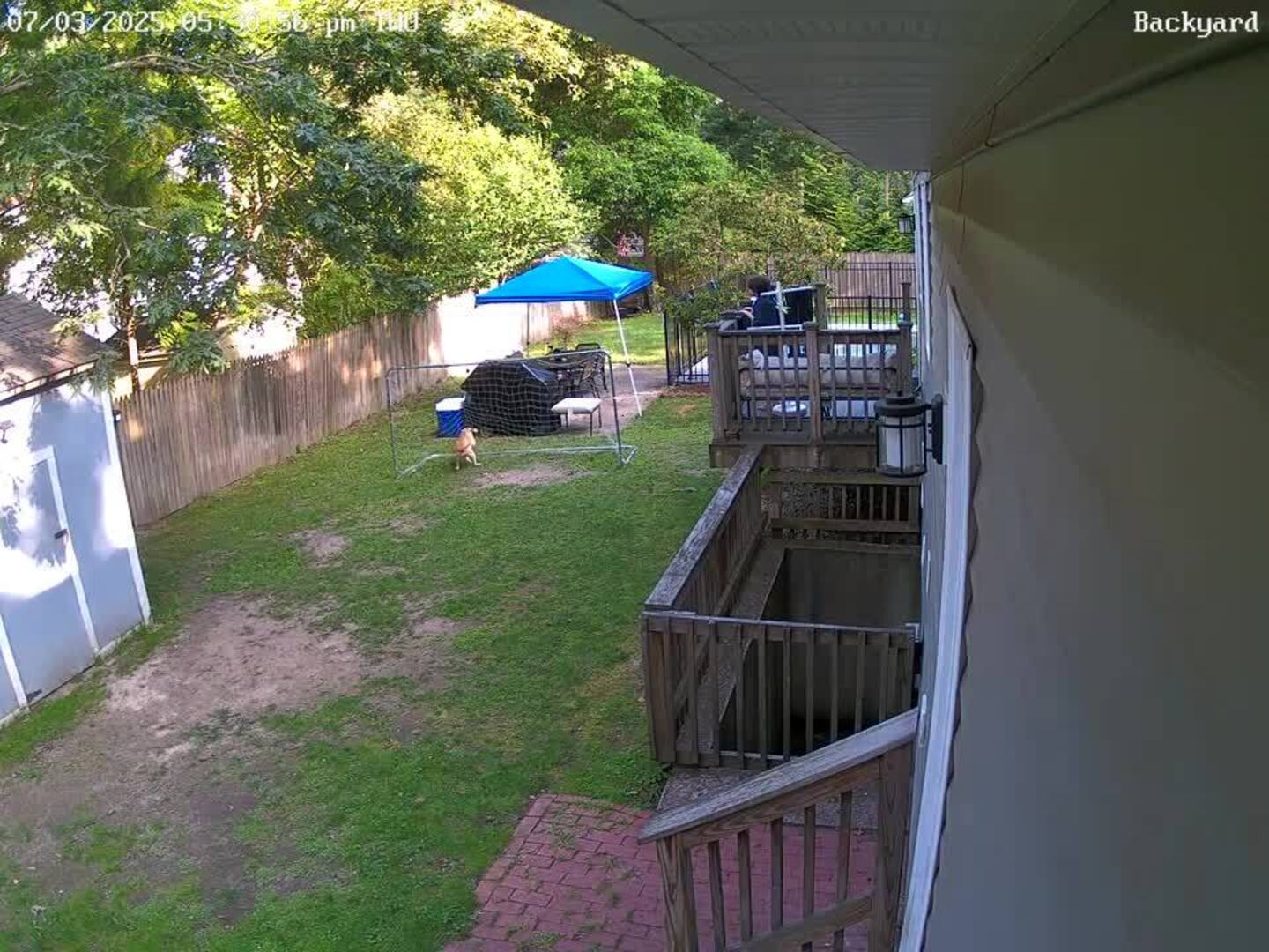 Dog Lets out a Massive Sneeze During Photo Shoot | Jukin Licensing