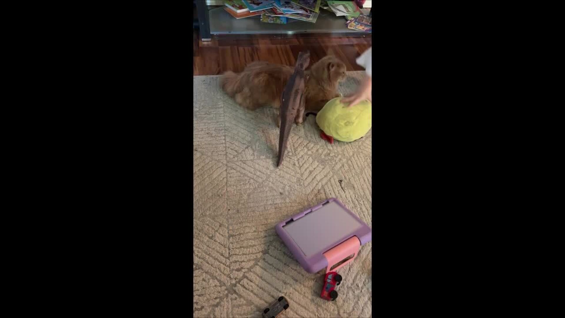 Cat Attacks Dinosaur Toy Instead of Fearing It | Jukin Licensing