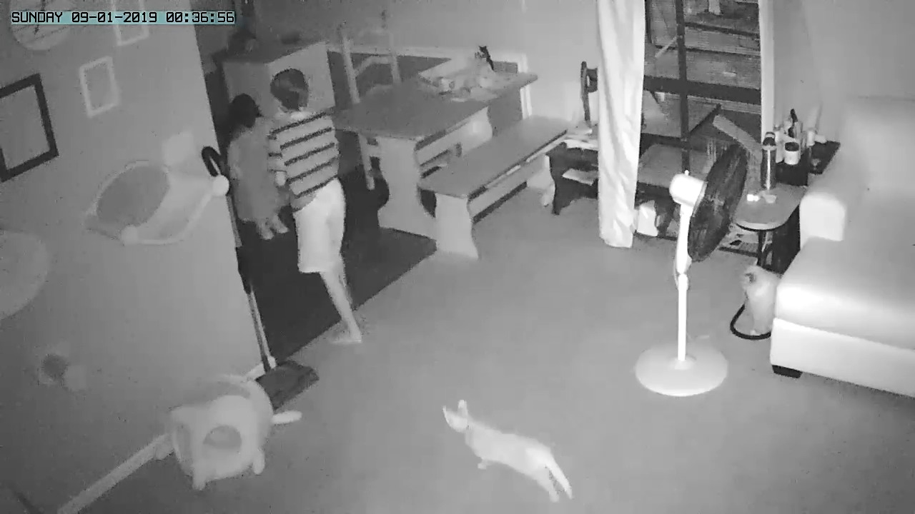 Prankster Son Fooled by Chicken Egg Trick | Jukin Licensing