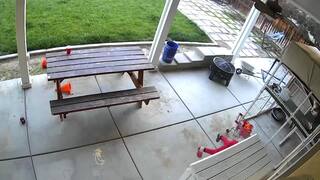 Woman Drops Model Airplane During Live Stream | Jukin Licensing